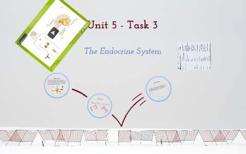 Unit 5 - Anatomy & Physiology by Tim Crespin on Prezi