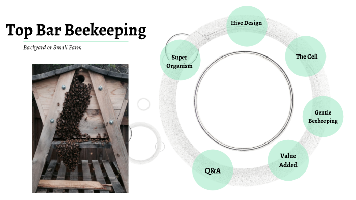 Top Bar Beekeeping by Matthew Delumpa on Prezi