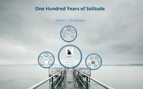 One Hundred Years of Solitude-Section 2 Vocabulary by Rose de Fleur on ...