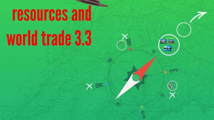 resources and world trade 3.3 by ashlyn wade