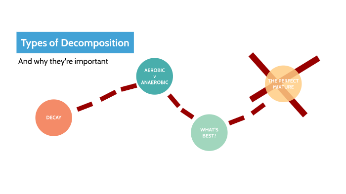 Types of Decomposition by Sara Oberg on Prezi