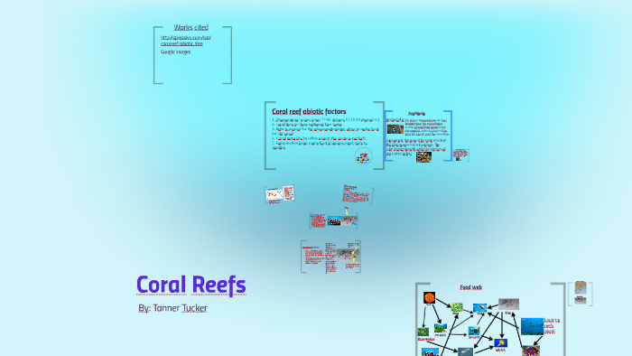Coral Reefs by Tanner Tucker on Prezi