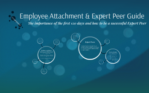 Employee Attachment & Expert Peer Guide by