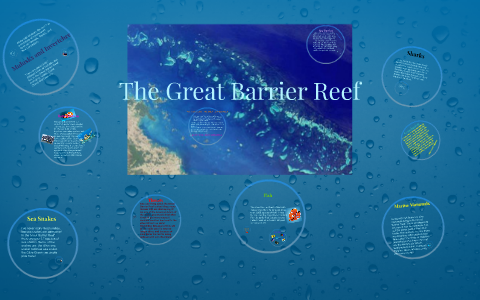 The Great Barrier Reef by Allison Keck on Prezi