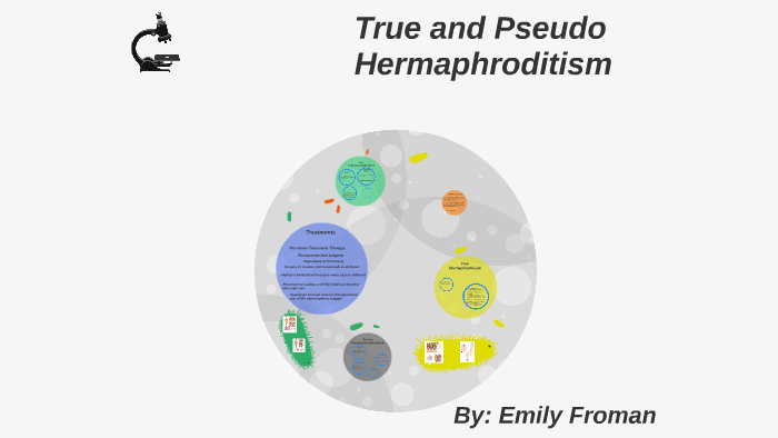 True and Pseudo Hermaphroditism by Emily Froman on Prezi