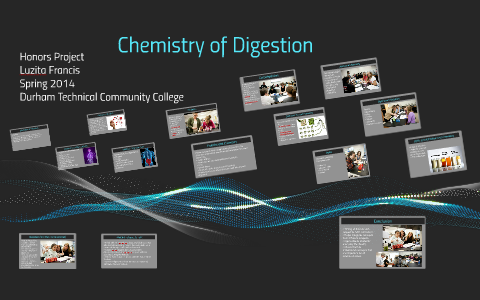 Chemistry of Digestion Lab - Presentation and conclusions by Lu Francis ...