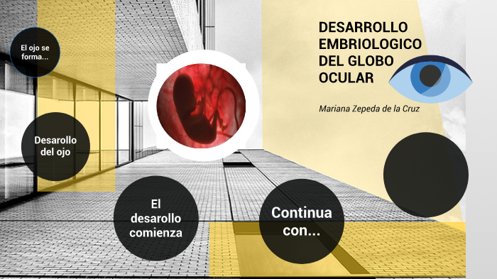 Desarrollo embriológico del ojo by MARIANA ZEPEDA on Prezi