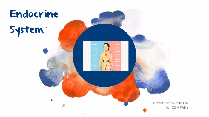 Endocrine System Poster by Shriya Paruchuri on Prezi