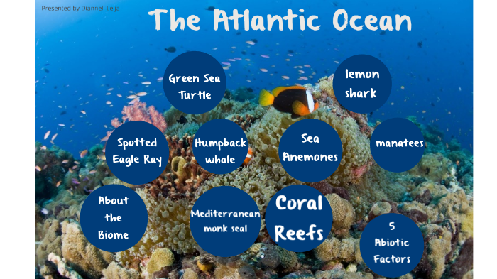 Biome Atlantic Ocean by diannel leija on Prezi