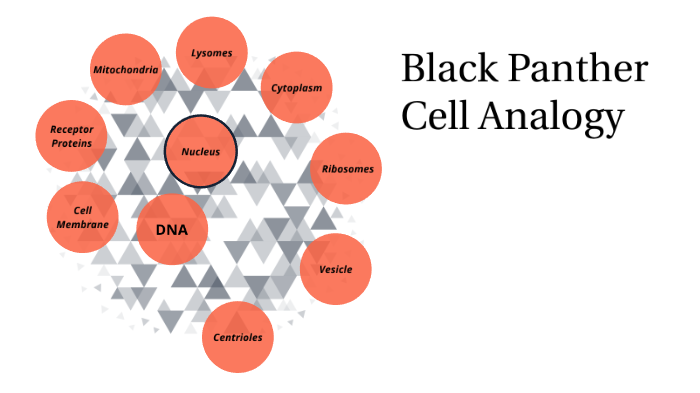 Black Panther cell comparison by Katelyn Jackson on Prezi