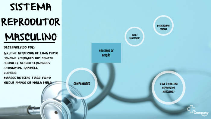 Sistema Reprodutor Masculino by Jennifer Afonso on Prezi