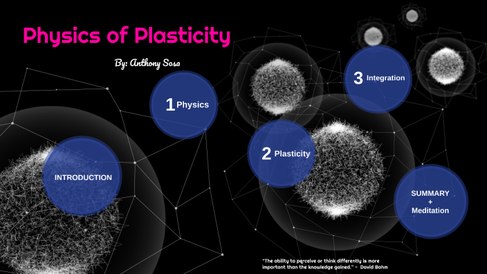Physics of Plasticity by Anthony Sosa