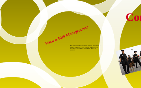 Risk Management by Ashley Bryson on Prezi