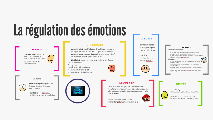 La régulation des émotions by Eléonore Dasse