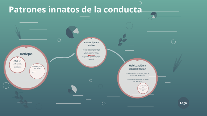 Patrones innatos de la conducta by María Ruiz Gragera on Prezi