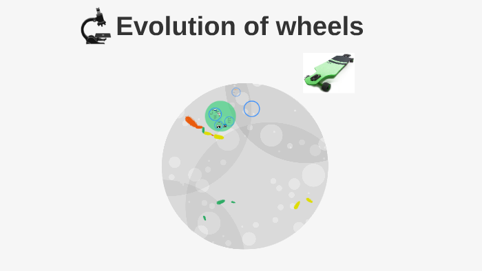 Evolution of wheels by Jaxson Roberts