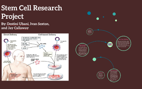 Stem Cell Reaserch Project by Destini Ubani on Prezi