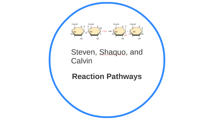 Reaction Pathway Concept Map by shaquo bailey on Prezi