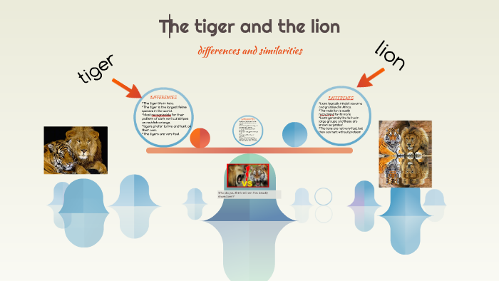 the tiger and the lion by samuel gomez ramirez on Prezi