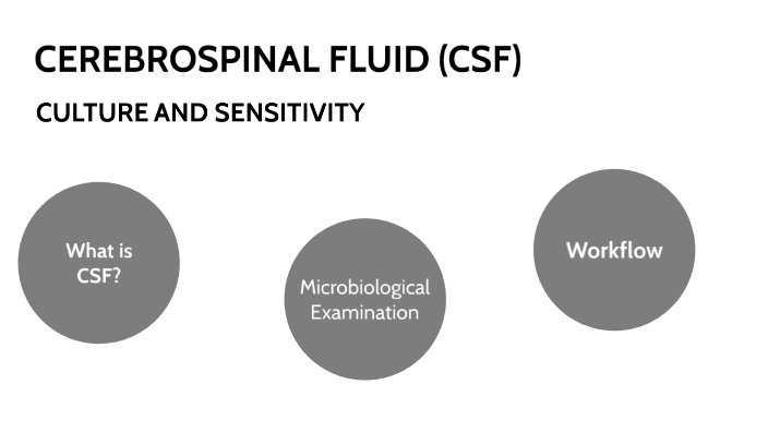 CEREBROSPINAL FLUID (CSF) by on Prezi