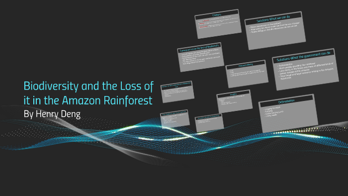 Biodiversity and the Loss of it in the Amazon Rainforest by Henry Deng ...
