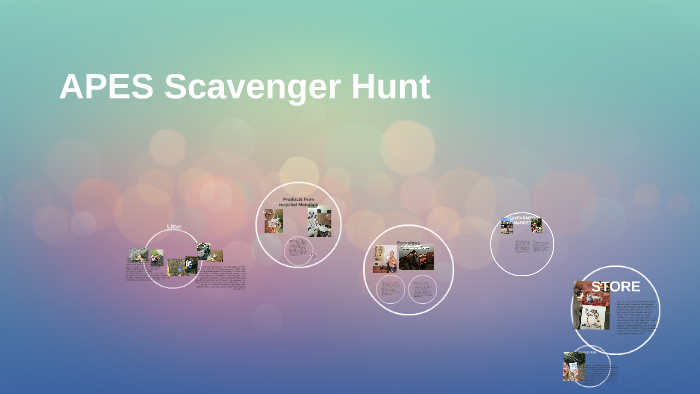 APES SCAVENGER HUNT by haley ginkens