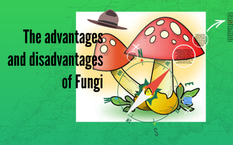 The advantages and disadvantages of Fungi by Aldren Fuentes on Prezi