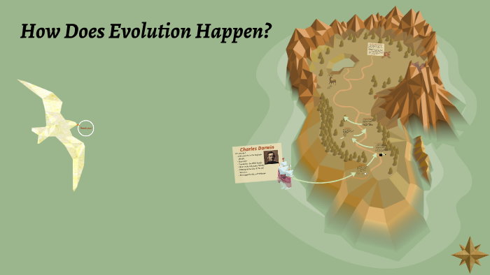 How Does Evolution Happen? by Robert Nelson on Prezi