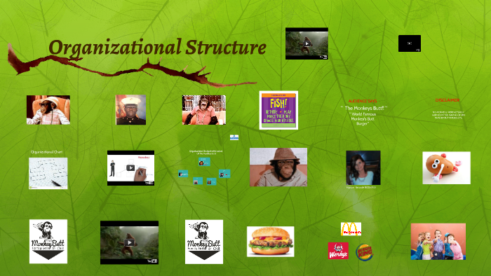Organizational structure by Seth Slone on Prezi
