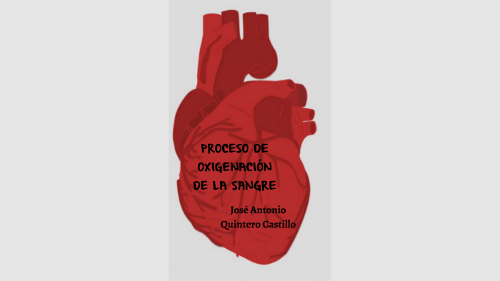 PROCESO DE OXIGENACIÓN DE LA SANGRE by Antonio Igblújua on Prezi