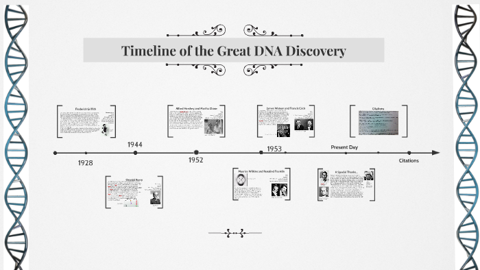 Timeline of the Great DNA Discovery by Amy S on Prezi