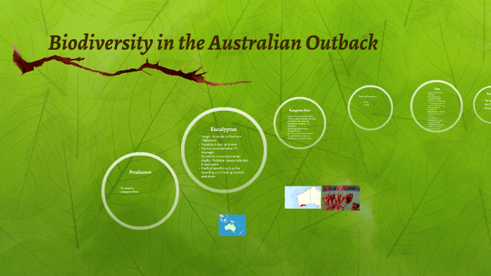 Biodiversity in the Australian Outback by Andrew Carpenter on Prezi