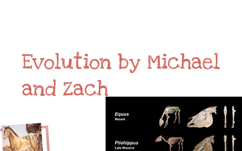 Evolution of Zebras by Mikey Haha on Prezi