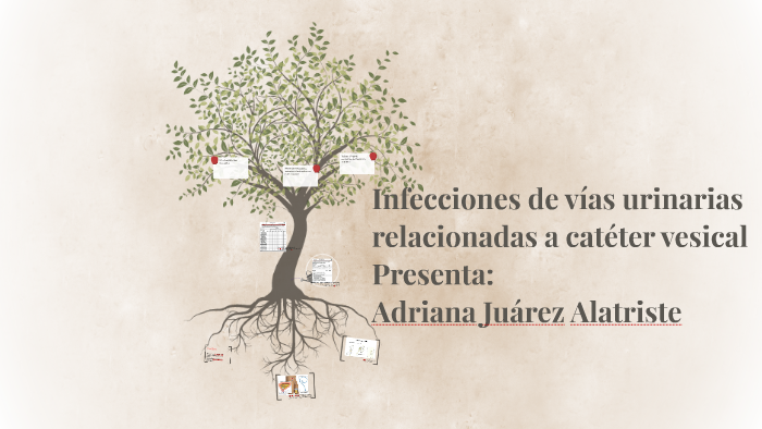 Infecciones de vías urinarias relacionadas a catéter vesical by adriana ...