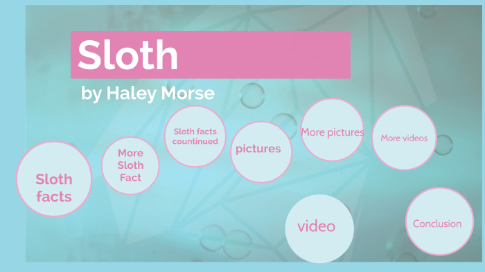 Sloth by Haley Morse on Prezi