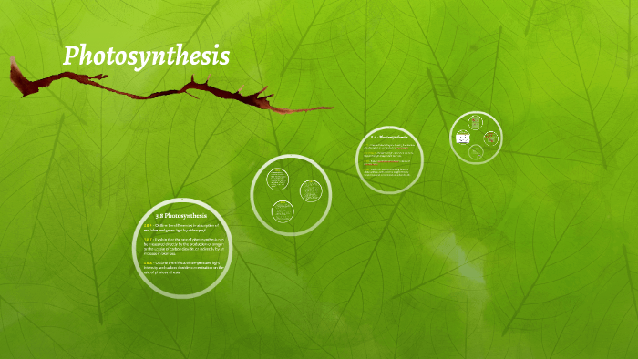 IB Biology HL Review: Photosynthesis by Anline Lezama on Prezi