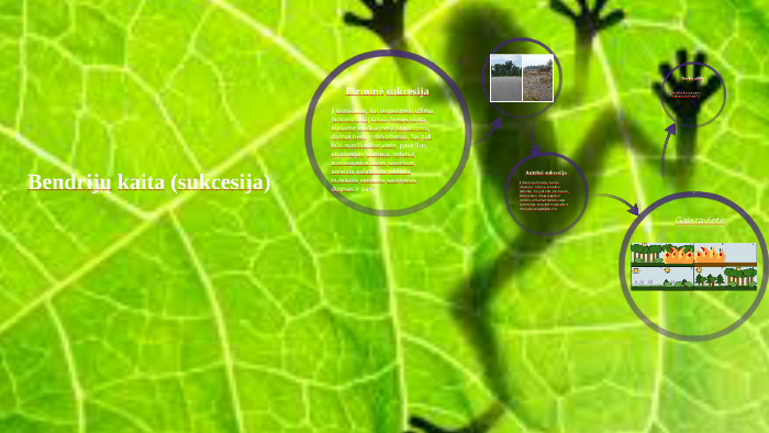 Bendrijų kaita (sukcesija) by Džiugnta Vaščilaitė on Prezi