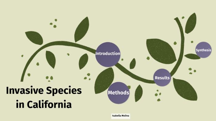 Invasive Species in California by Isabella Molina on Prezi