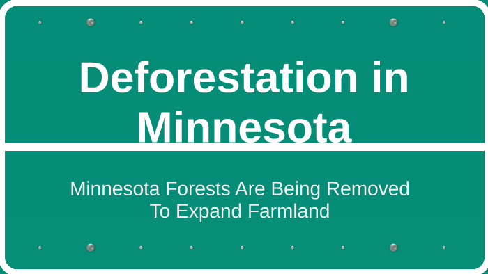 Deforestation in Minnesota by Elaina Tverberg on Prezi