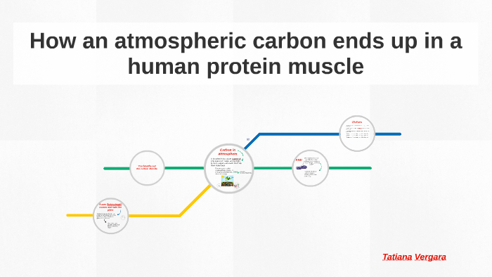 How an atmospheric carbon ends up in a human protein muscle by Tatiana ...