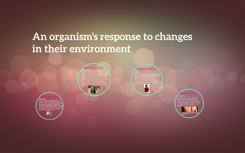 An organism's response to changes in their environment by Joseph Motis ...