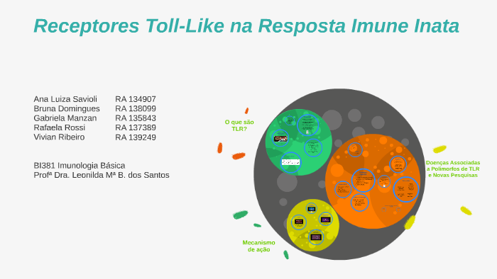 Receptores Toll-Like na Resposta Imune Inata by Bruna Domingues Vieira ...