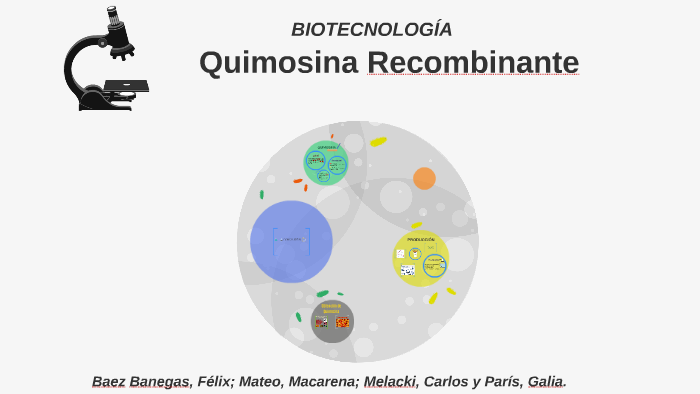 Quimosina Recombinante by Galia Paris on Prezi