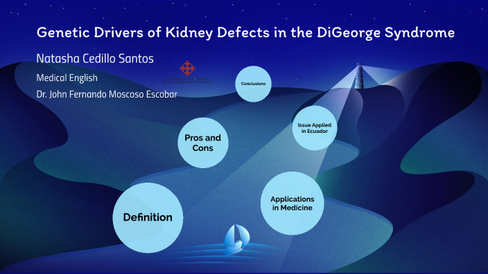 Genetic Drivers of Kidney Defects in the DiGeorge Syndrome by Natasha ...