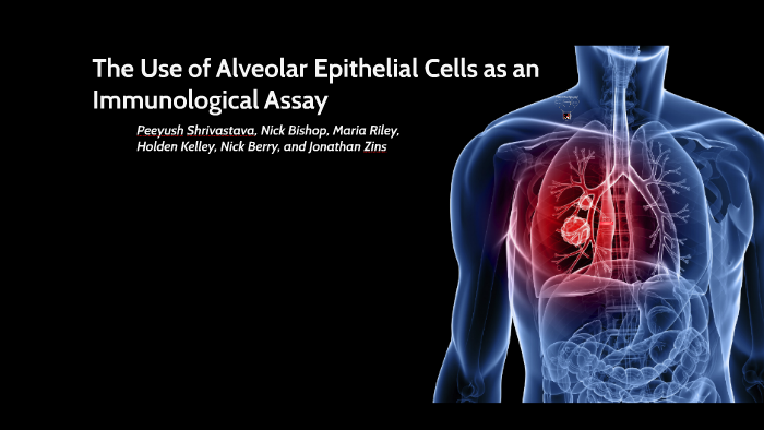 The Use of Alveolar Epithelial Cells as an Immunological Assay by ...