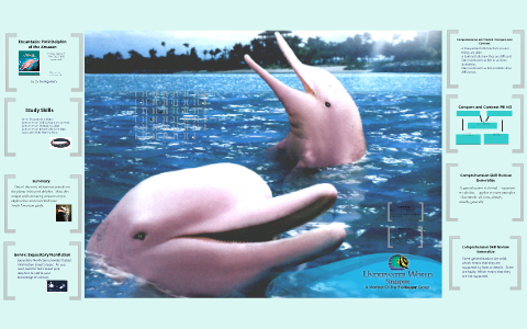 Encantado: Pink Dolphin of the Amazon by Kelli Williams on Prezi