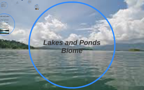 Lakes and Ponds Biome by cyhmone murray on Prezi
