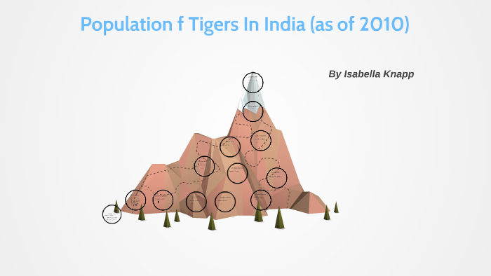 How The Population of Wild Cats Increases Around the World by Isabella ...