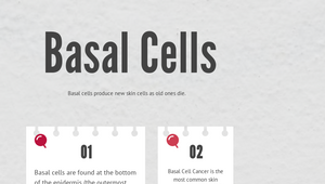 Respiratory System Specialized Cells: Basal Cells by Scarlett Taylor on ...