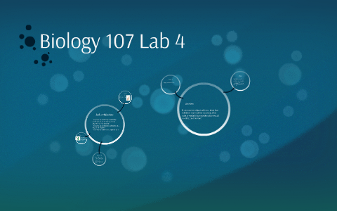 Biology 107 Lab 4 by Tammy Gosselin on Prezi